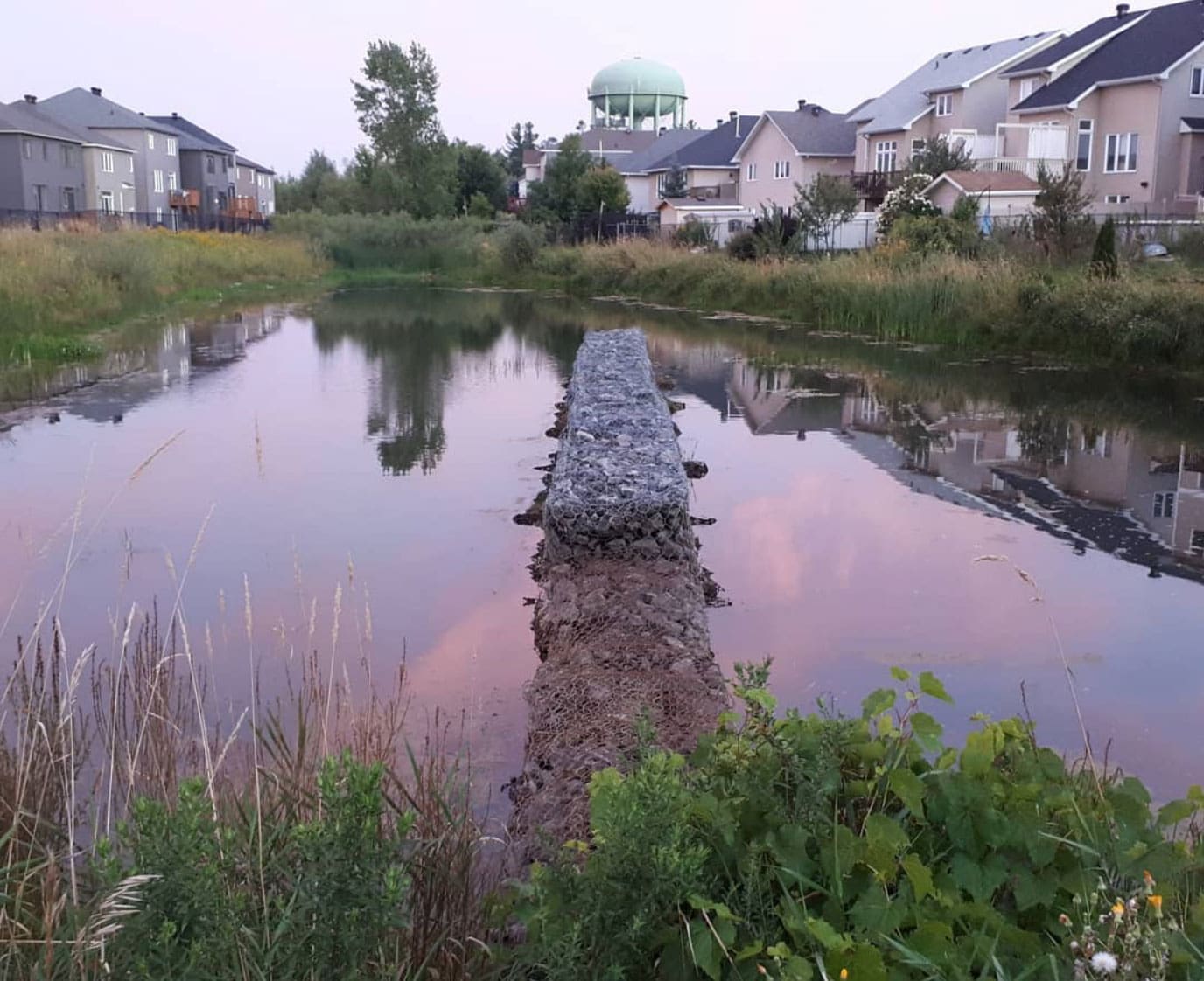 NOTEBOOK: The unfinished pathway between Potter's Key and Echowoods ...