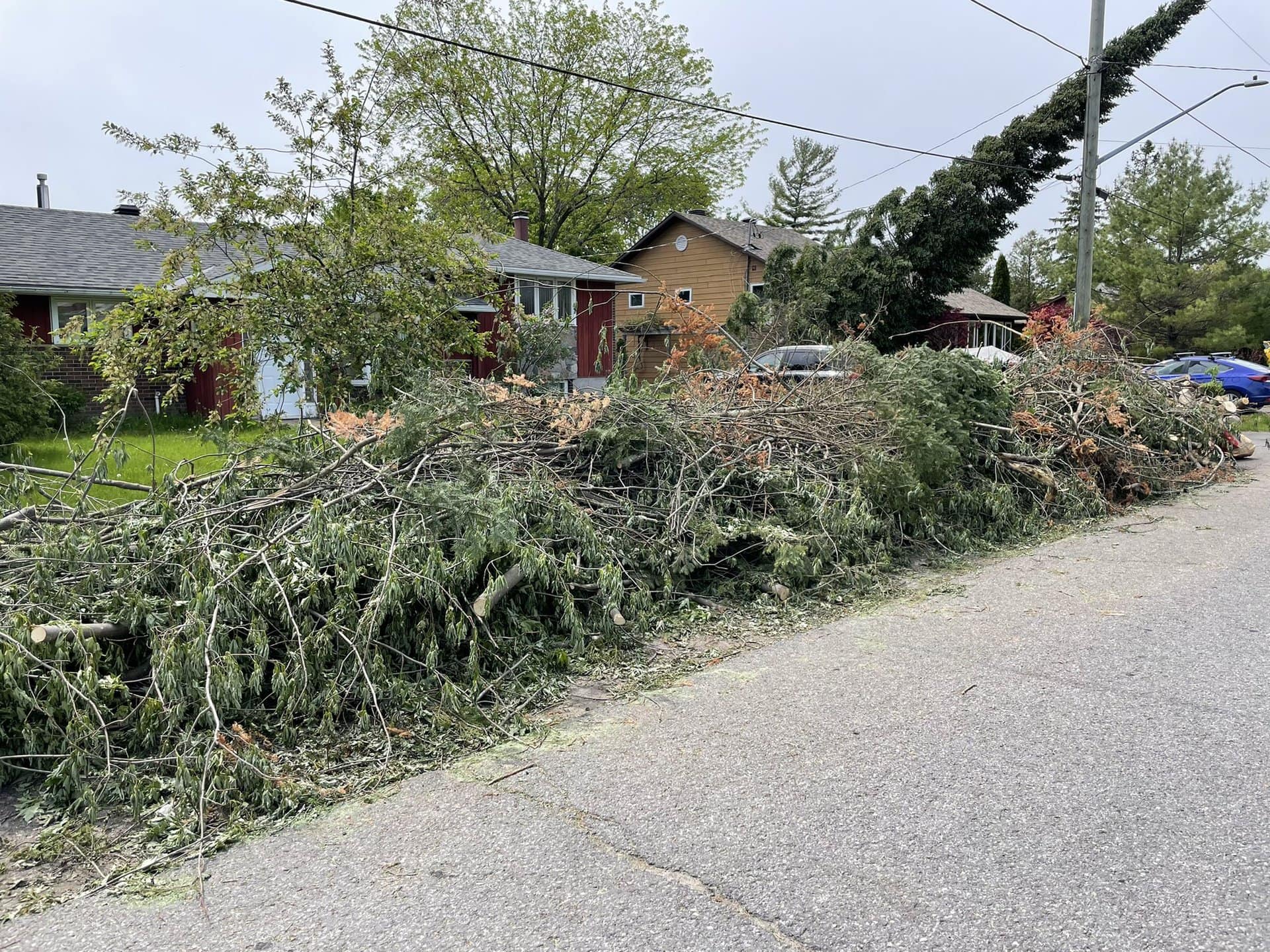 How to dispose of storm-related debris - Glen Gower | Councillor ...