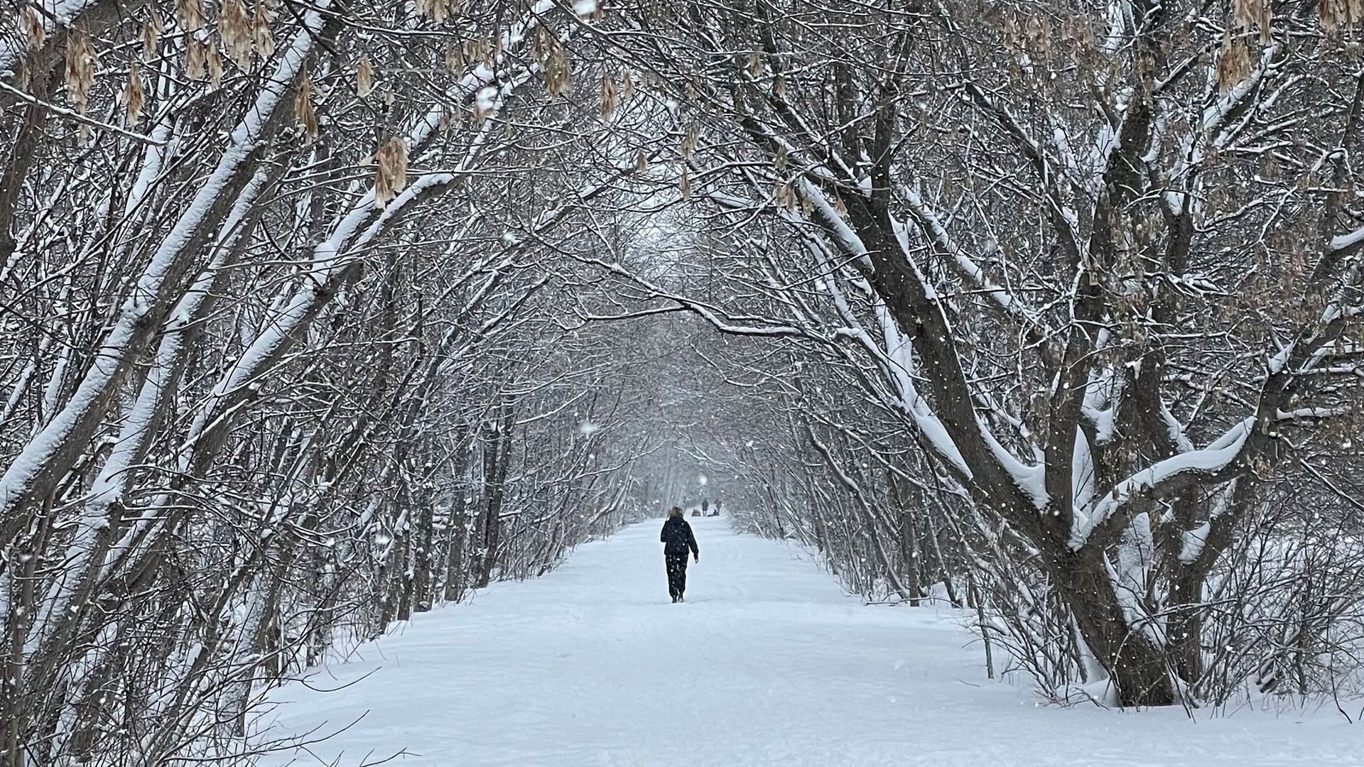 Take the Stittsville Winter Trail Network survey - Glen Gower ...