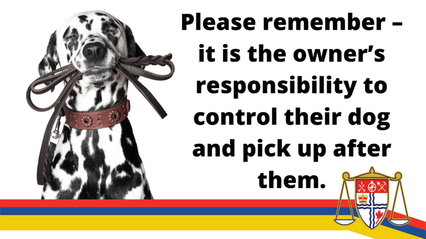 Practicing responsible dog ownership - Glen Gower | Councillor ...
